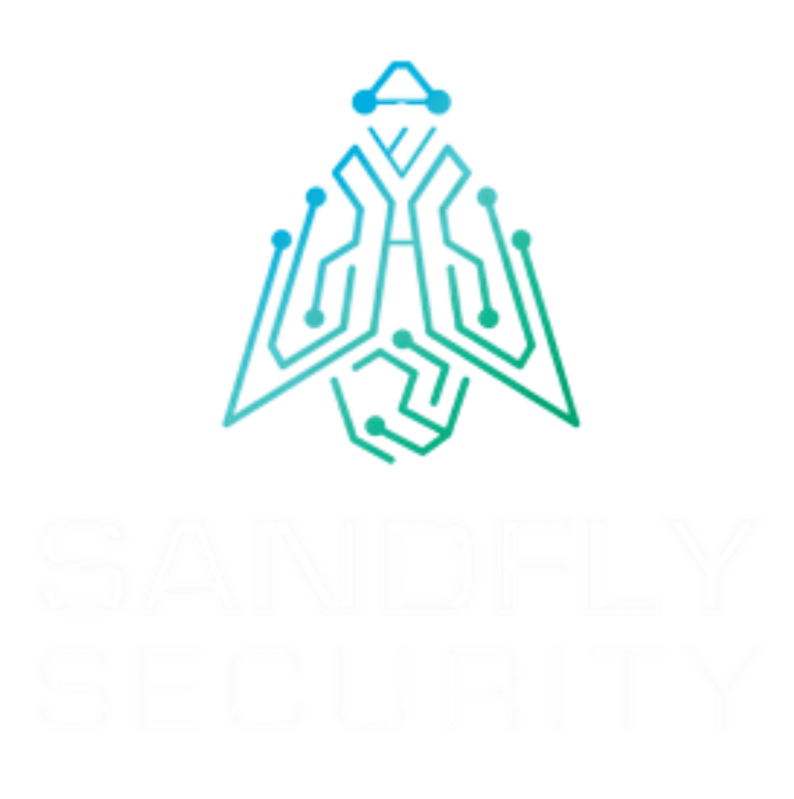 Global Leaders in Cyber Search and Build - Trident Search