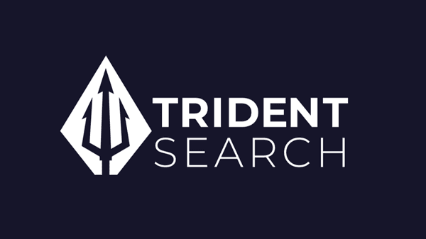 Global Leaders in Cyber Search and Build - Trident Search